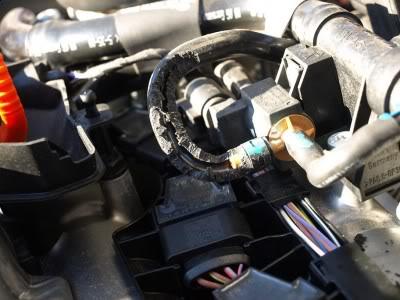 Blimey! Them pesky Mices! - Random Chat - MK5 Golf GTI