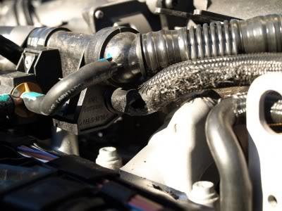 Blimey! Them pesky Mices! - Random Chat - MK5 Golf GTI